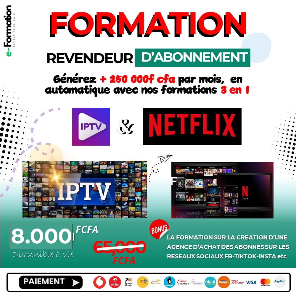 FedaPay - Formation abonnement Netflix